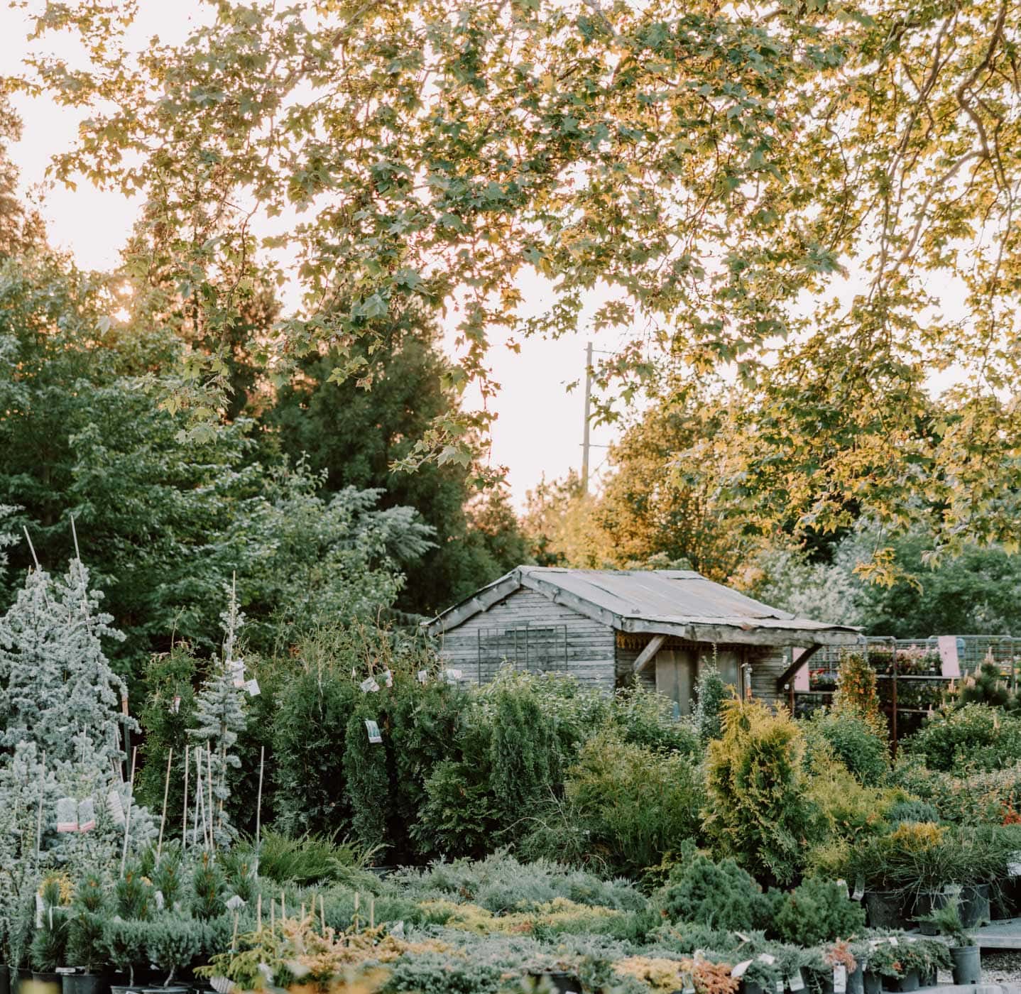 Our Story - Terrain Events